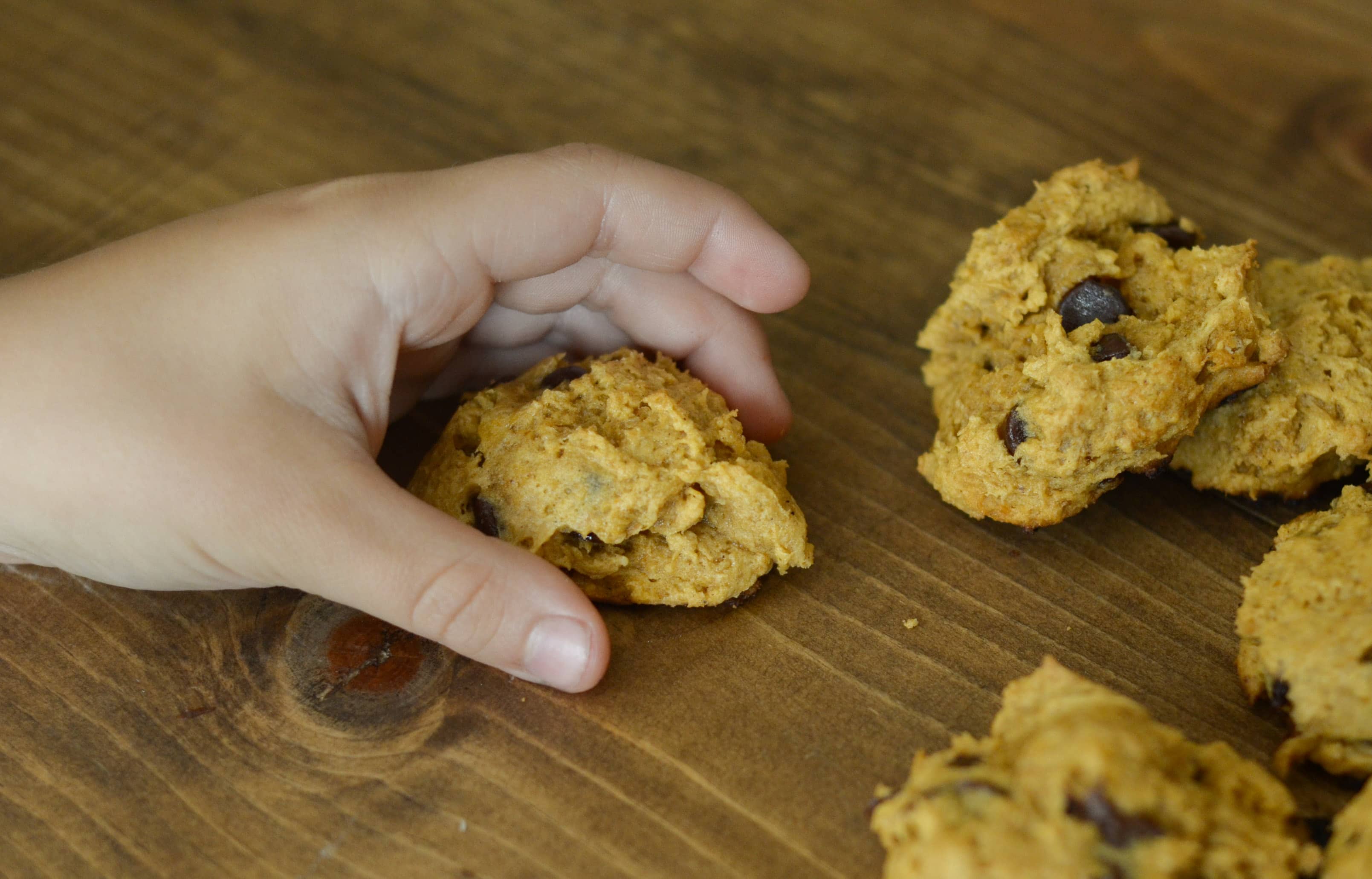 Pumpkin Chocolate Chip Cookies + Angus Cheeseburgers - Mommy Hates Cooking