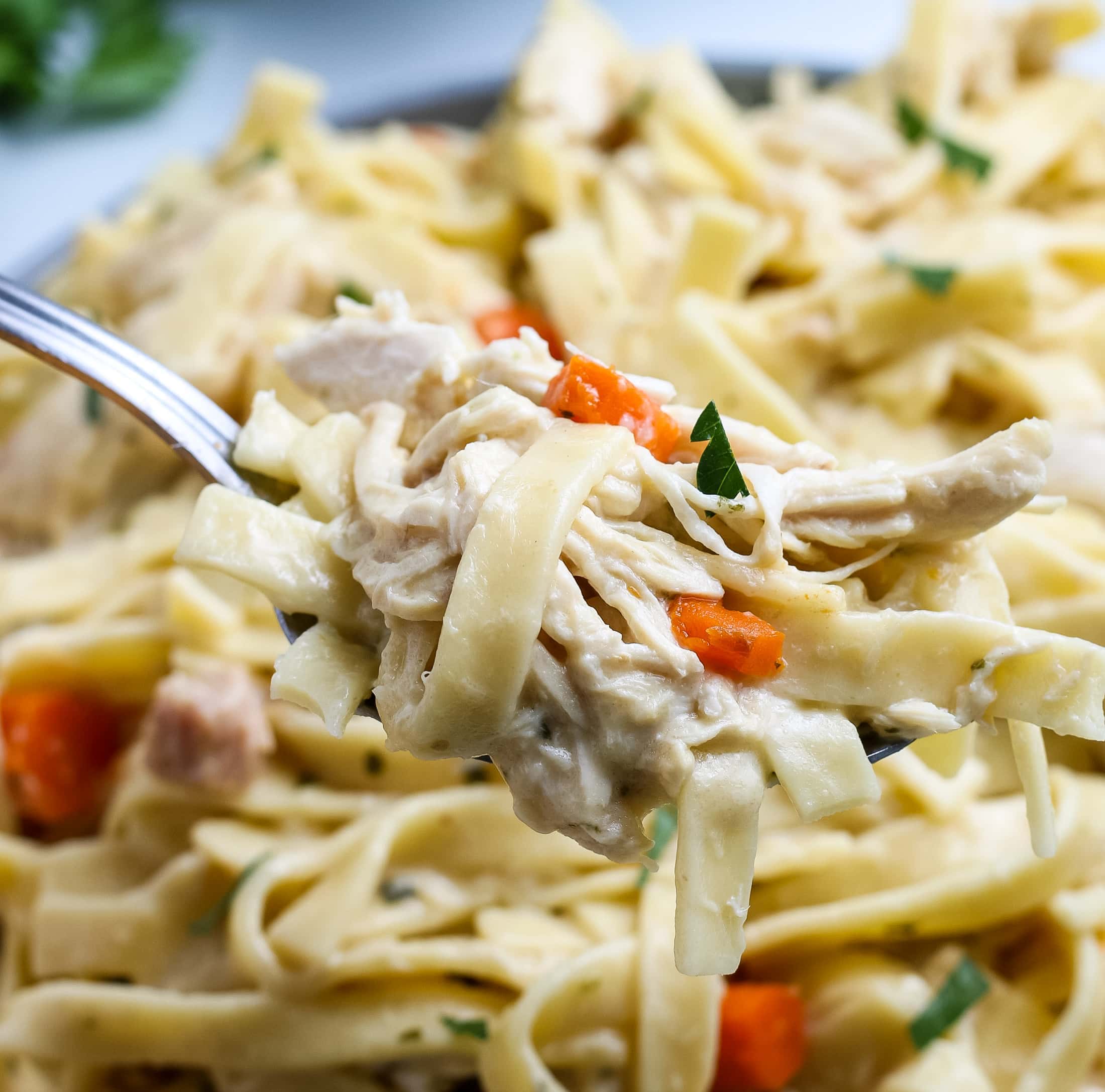 Homemade Creamy Chicken and Noodles - Mommy Hates Cooking