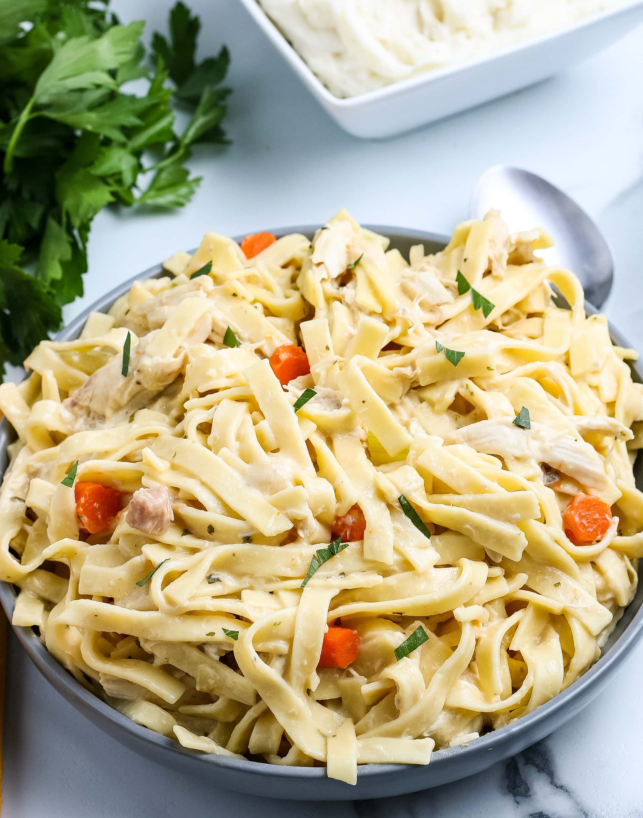 Homemade Creamy Chicken and Noodles - Mommy Hates Cooking