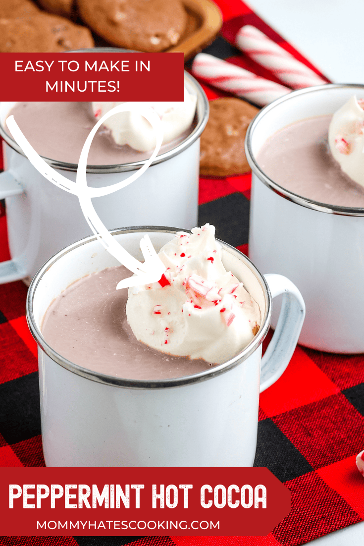 Peppermint Hot Chocolate - Mommy Hates Cooking