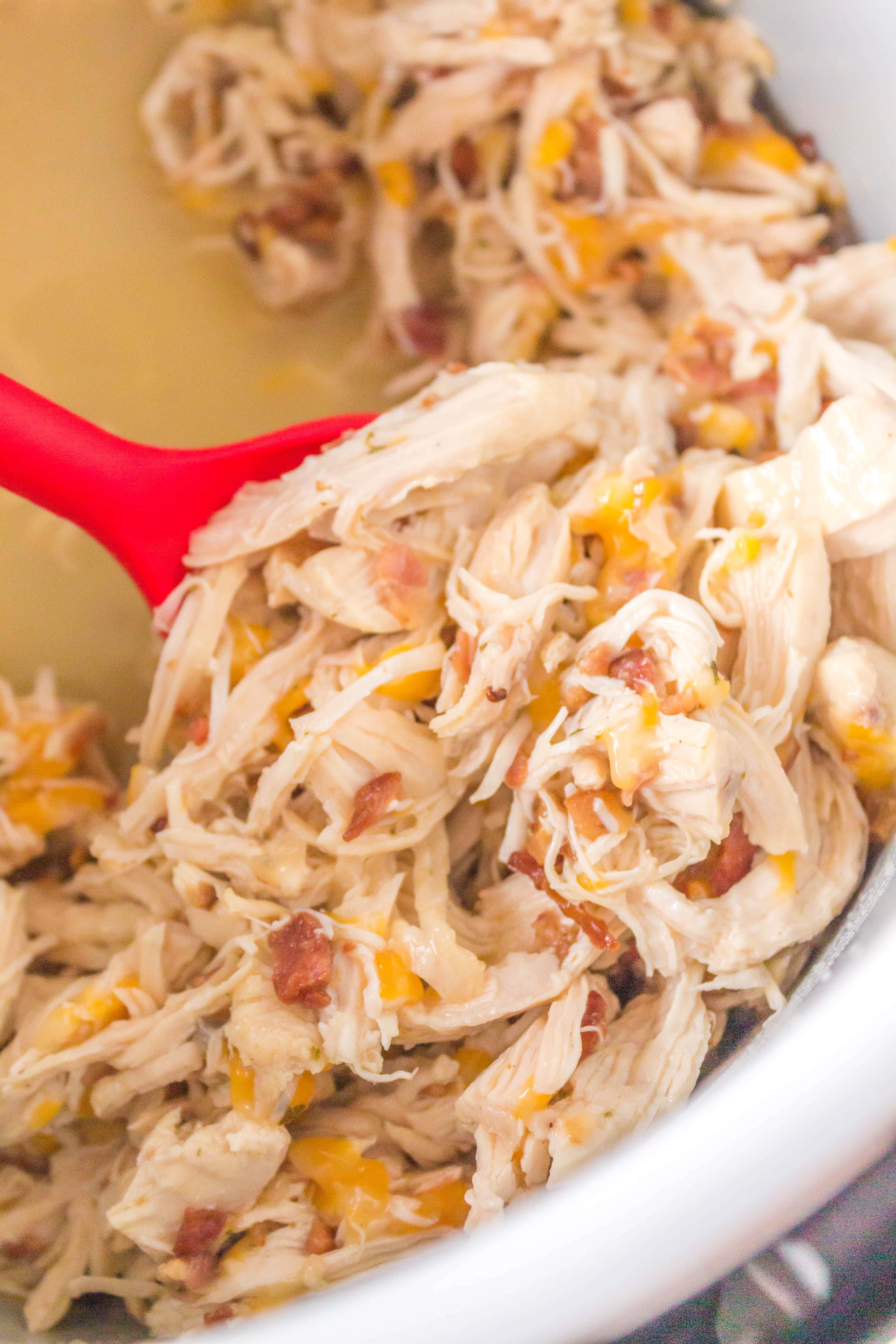 Easy Ninja Foodi Chicken Recipes - Mommy Hates Cooking