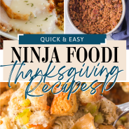 Ninja Foodi Recipes for Thanksgiving - Mommy Hates Cooking